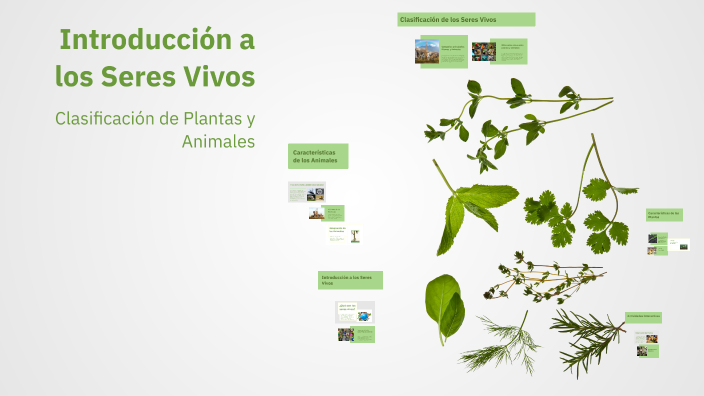 Introducción a los Seres Vivos by LUIS ENRIQUE ALEY BETANCURTH on Prezi