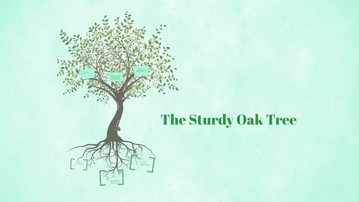 The Sturdy Oak Tree by Ella Snider on Prezi