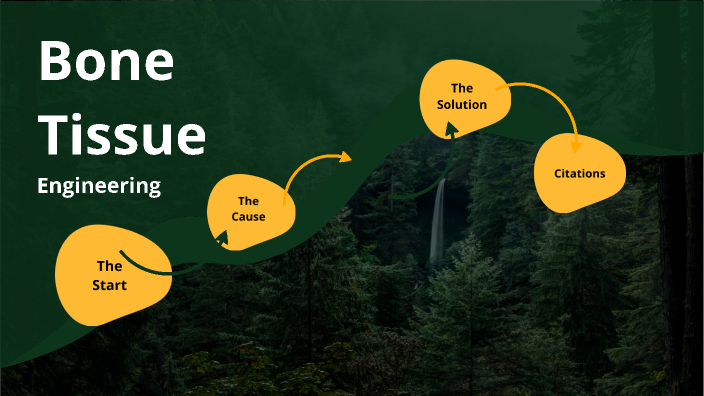 Bone tissue engineering by srirag vuppala on Prezi