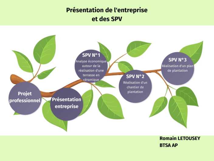 diapo présentation entreprise by romain letousey on Prezi