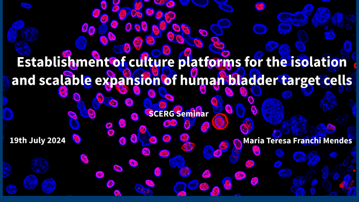 Establishment of culture platforms for the isolation and scalable ...