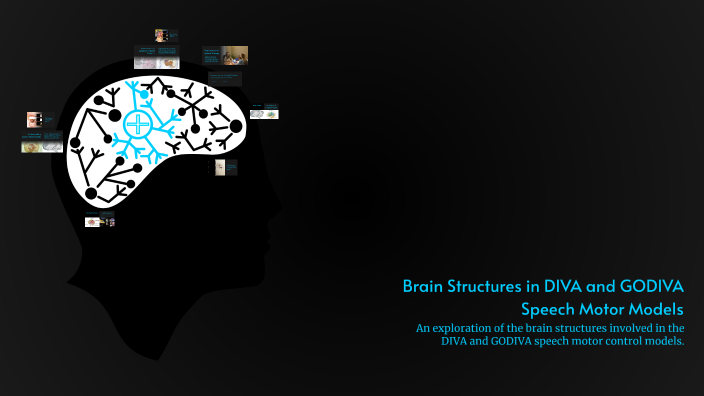 Brain Structures in DIVA and GODIVA Speech Motor Models by Christine ...