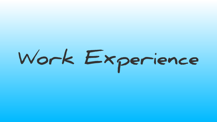 Introduction to Work Experience by DAVID EGAN on Prezi