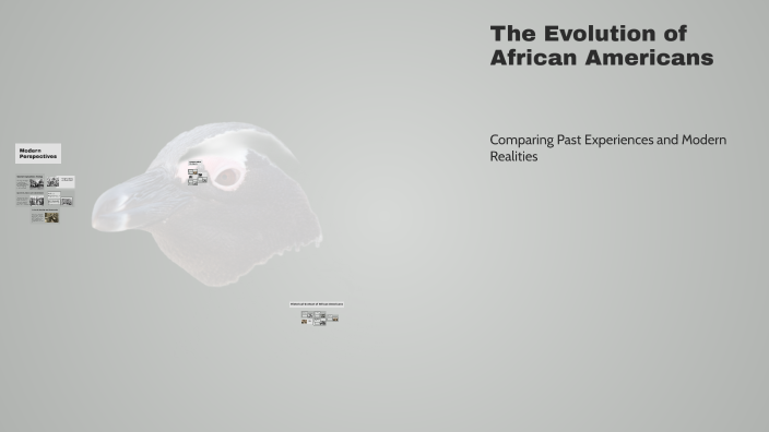 The Evolution of African Americans: A Historical Perspective by Juwon ...