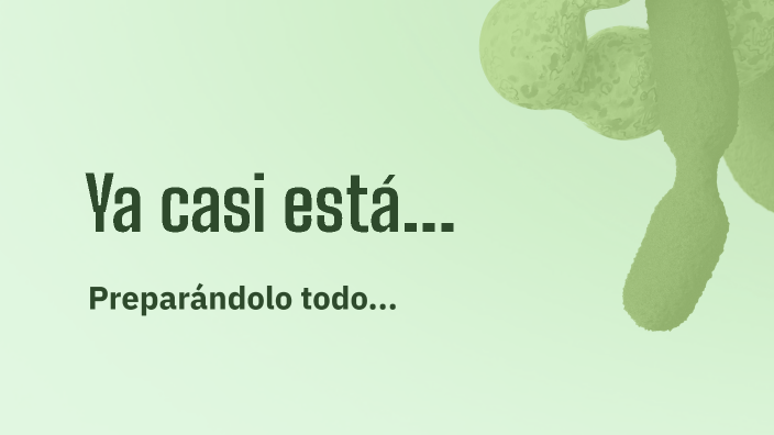 Anatomía del Oso Panda by iridian monterrosas juarez on Prezi