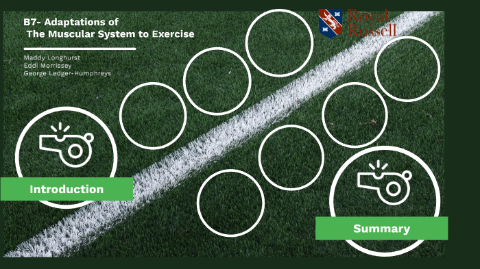 B7 - Adaptations of The Muscular System to Exercise by George Ledger ...