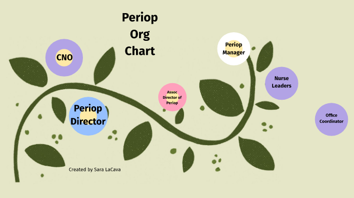 Periop Org Chart by sara lacava on Prezi