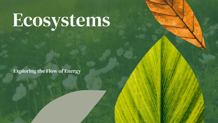 Understanding Ecosystems by sarah west on Prezi