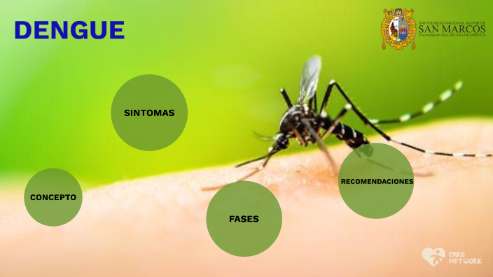 ¿QUÉ ES EL DENGUE? by Fatima Mañueco Gonzales on Prezi