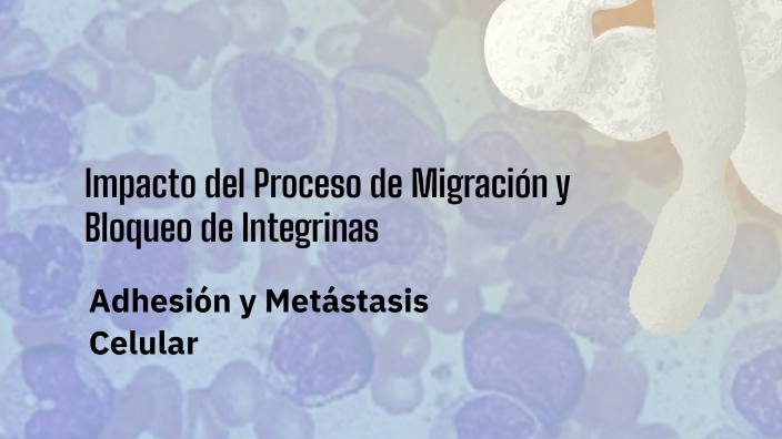 Impacto del Proceso de Migración y Bloqueo de Integrinas by PEDRO ...