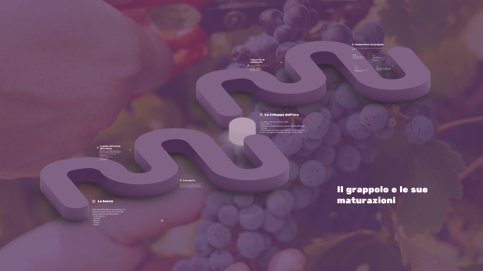 Il grappolo, la sua composizione e le sue maturazioni by Matteo Curreli ...