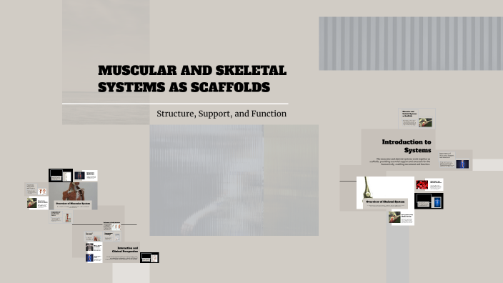 MUSCULAR AND SKELETAL SYSTEMS AS SCAFFOLDS by XIFAN Siddhartha on Prezi