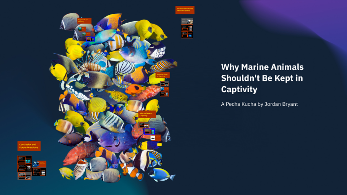 Why Marine Animals Shouldn't Be Kept in Captivity by JBRY 1 on Prezi