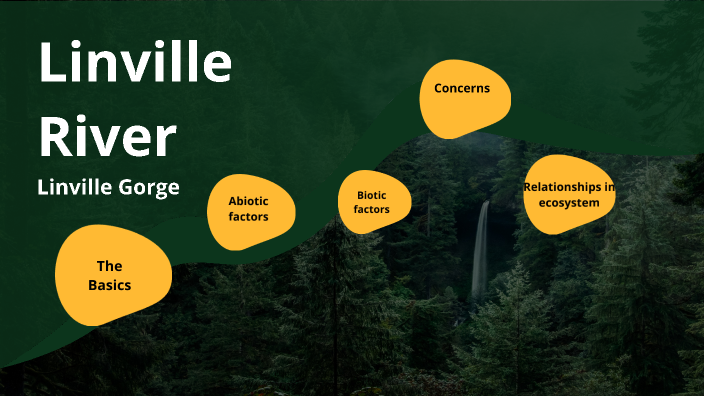 ecosystem by abbie roark on Prezi