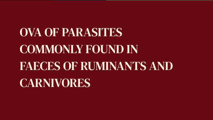 OVA OF PARASITES COMMONLY FOUND IN FAECES OF RUMINANTS AND CARNIVORES ...