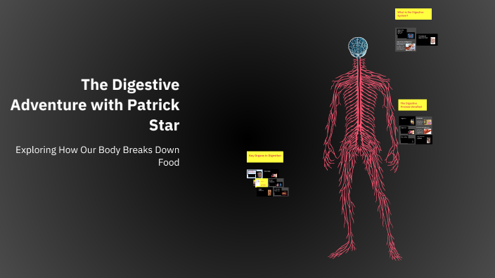 The Digestive Adventure with Patrick Star by damian torres on Prezi