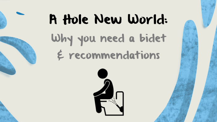 A Hole New World: Life With A Bidet And Why You Need One by Jonathan ...