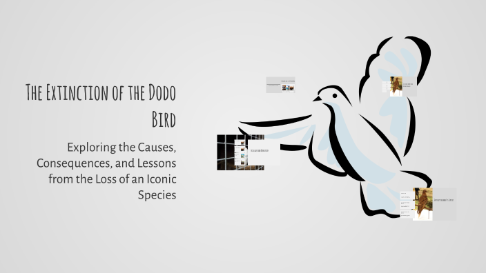 The Extinction of the Dodo Bird by Lim Zi Tao on Prezi