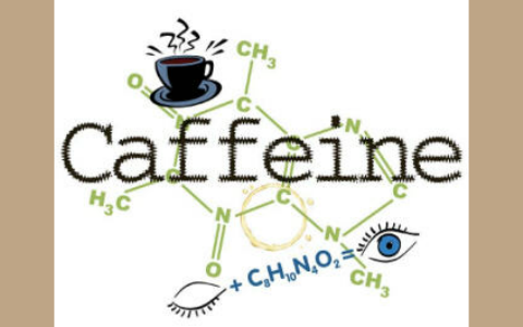 Caffeine Human Biology by Molly Halpin on Prezi