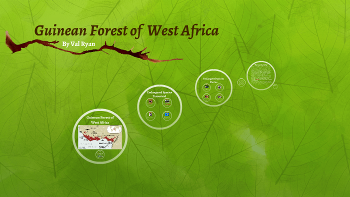 Guinean Forest of West Africa by Val Ryan on Prezi