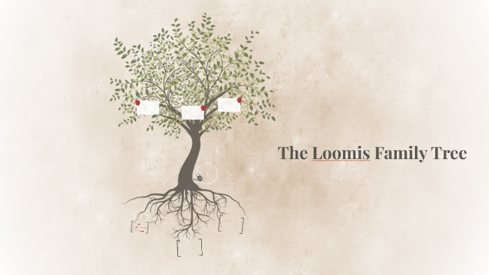 The Loomis Family Tree by Katherine Loomis on Prezi