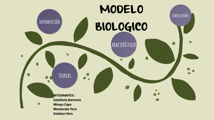 Modelo Biologico by Mireya Cayo on Prezi