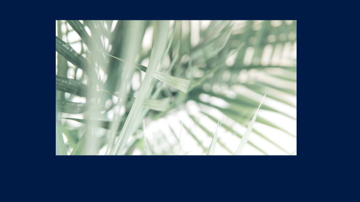 Florida-Xai by Piper Biesinger on Prezi