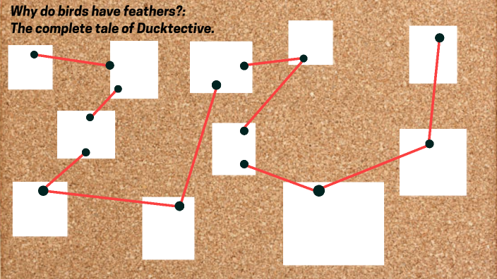 Ducktective project by Bianca Rosand on Prezi