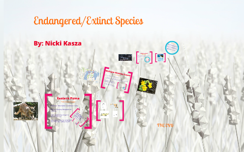 Endangered/Extinct Species by Nicki Kasza on Prezi