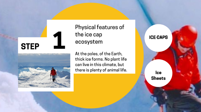 the ice cap adventure by jorge natal on Prezi