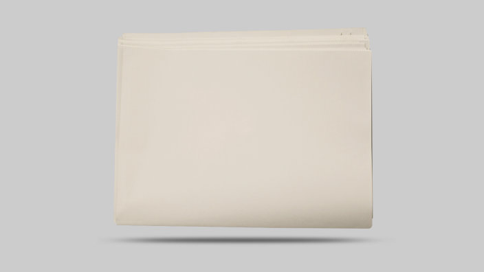 11. August als Nationalfeiertag in der Weimarer Republik by Rachel ...