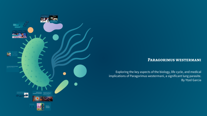 Understanding Paragorimus westermani: Biology, Life Cycle, and ...