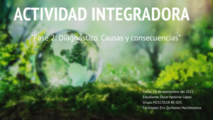 Actividad integradora Fase 2: Diagnóstico. Causas y consecuencias by Oscar Apolinar on Prezi Design