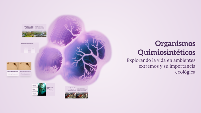 Organismos Quimiosintéticos by Fernanda Valdez on Prezi