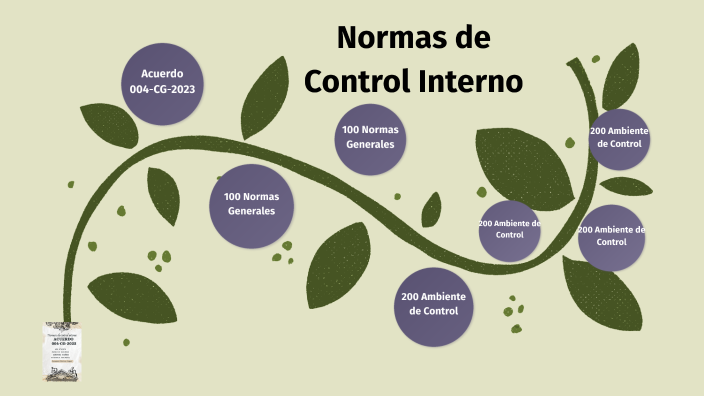 Normas de Control Interno by ANTHONY MAURICIO ESPINOZA MONTALEZA on Prezi