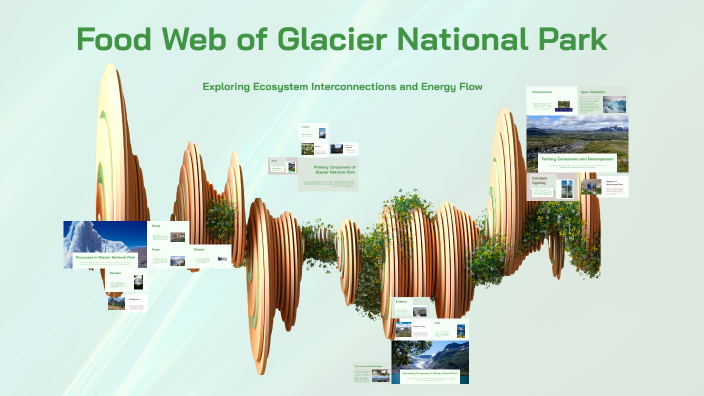 Food Web of Glacier National Park by Jessica Nielsen on Prezi
