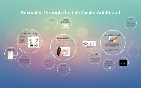 Sexuality Through the Life Cycle: Adulthood by Sandra Gregory on Prezi