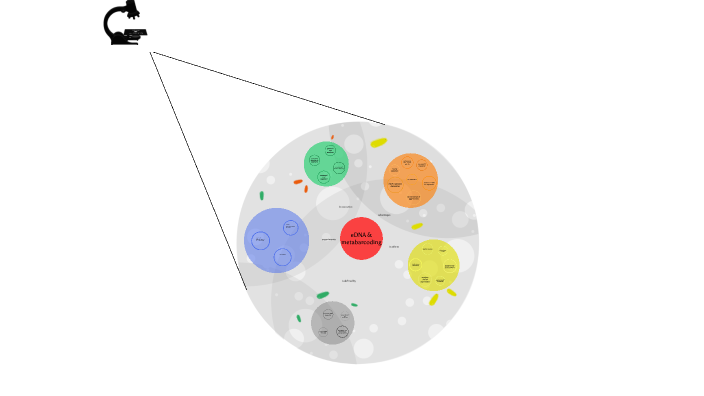 eDNA Concept Map by Kailyn Canoza on Prezi