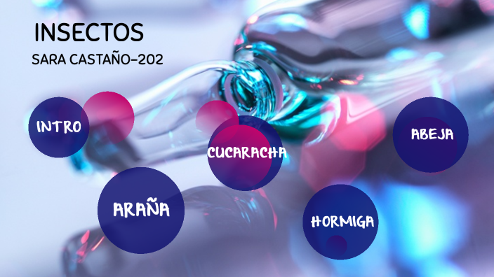 Insectos sara by Sara Castaño on Prezi