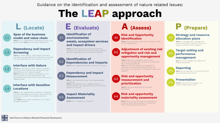 LEAP framework by Alison Rufo on Prezi