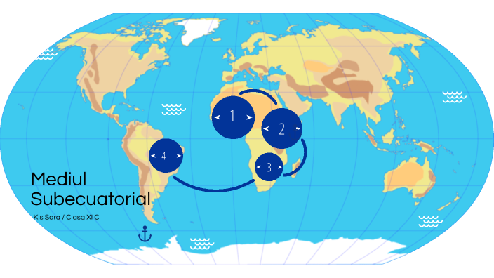 Mediul Subecuatorial by sara kis on Prezi