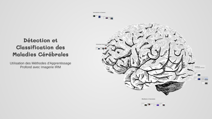 Détection et Classification des Maladies Cérébrales by oualid el ...