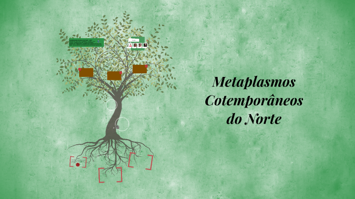 Metaplasmos Contemporâneos by Paula Lopes on Prezi