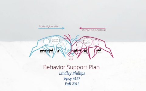 BSP Plan by Lindley Phillips