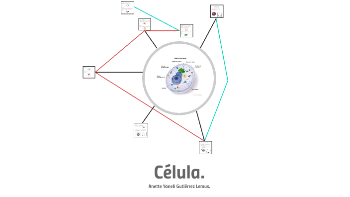 Célula by Anette Yaneli Gutierrez Lemus on Prezi