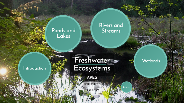 APES Biomes Concept Map by Bella Valerio Weinrich on Prezi