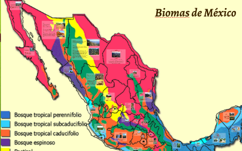 Biomas De Mexico By Elii Con S On Prezi