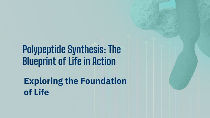 Polypeptide Synthesis: The Blueprint of Life in Action by Karanveer ...