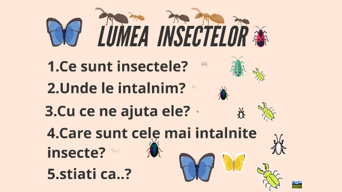 LUMEA INSECTELOR by craciun maria on Prezi