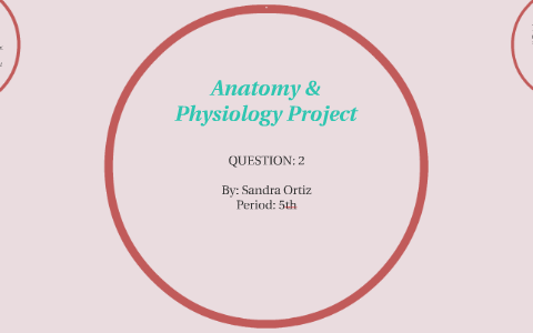 Anatomy & Physiology Project by Cecilia Ortiz on Prezi